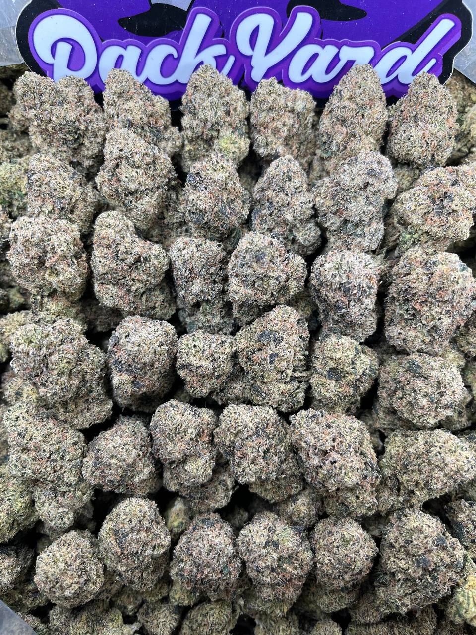 FORBIDDEN GELATO – Exotic Flavor, Potent Hybrid, Buy Online